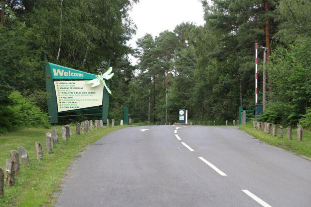 Moors Valley Country Park and Forest to close due to power outage