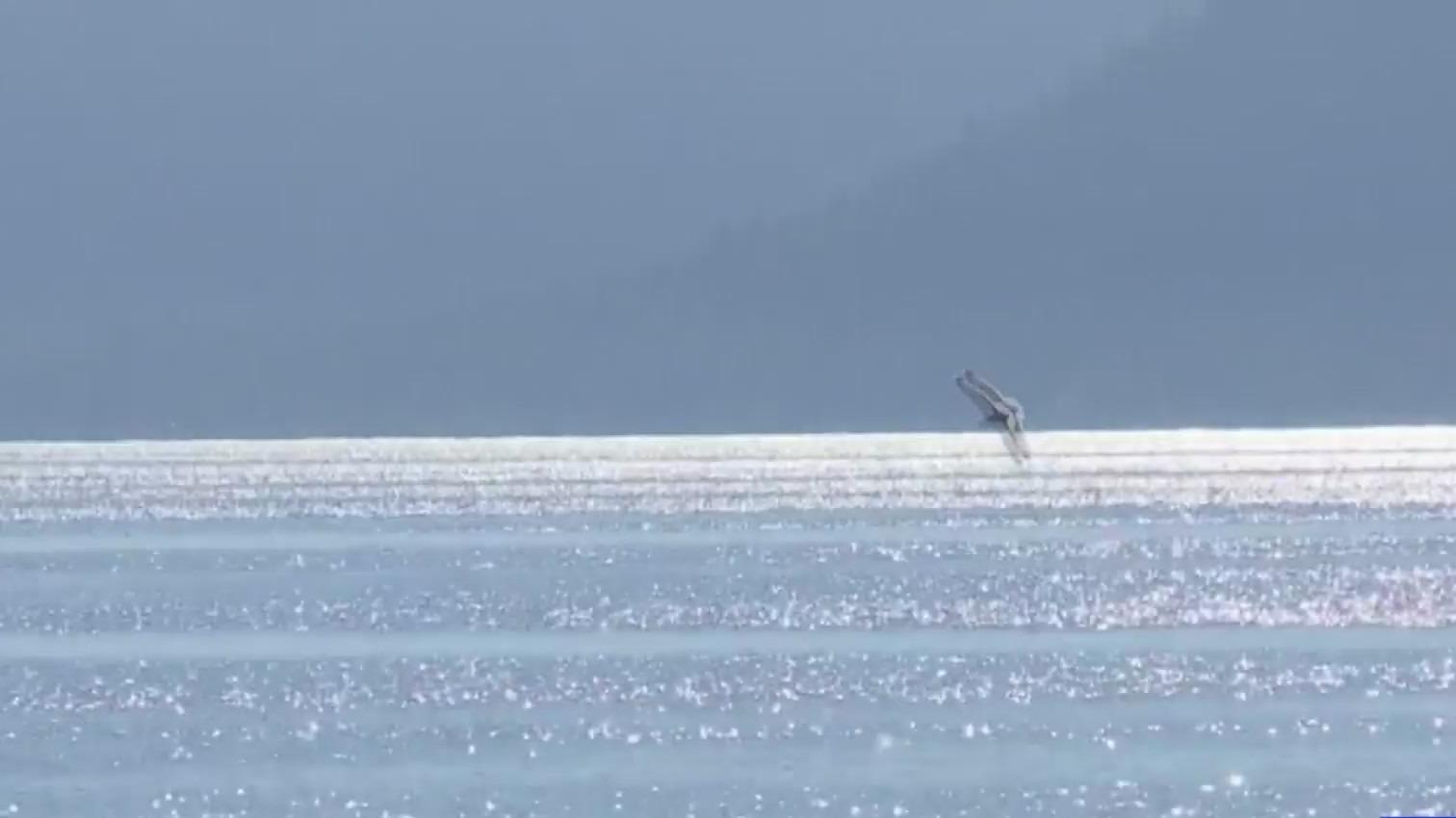 New details released from the fatal boating incident in Lake Tahoe