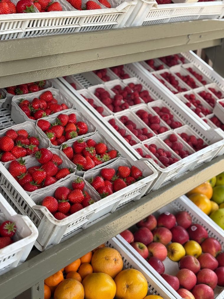 The best ‘pick your own’ farms to enjoy this summer