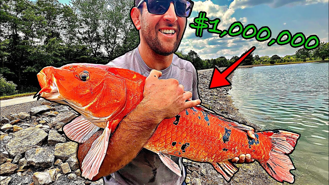 We Caught a Million Dollar Fish!!! (Carp and Koi Fishing)