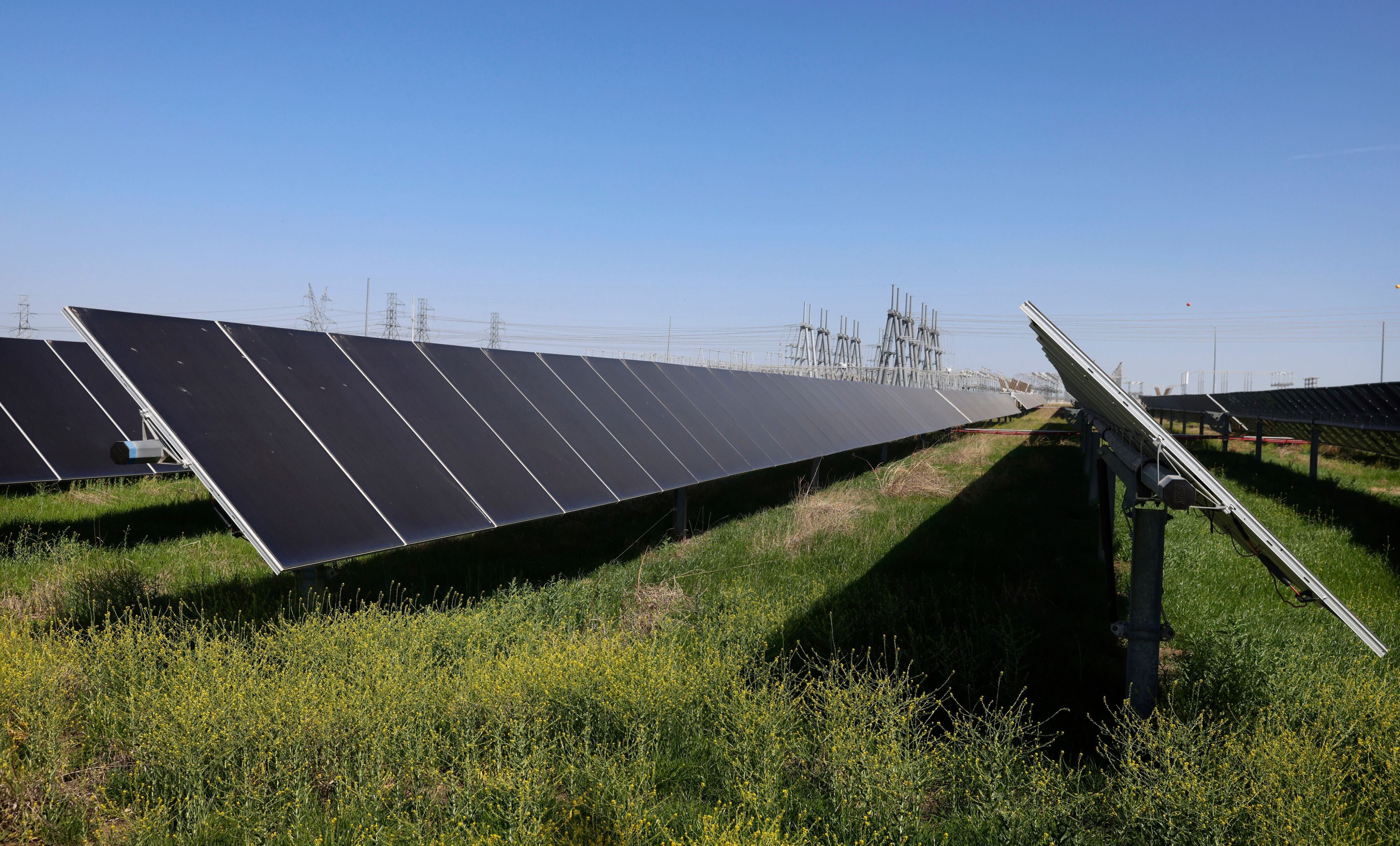 Commentary: Let the market decide — The wisdom of ending wind and solar ...