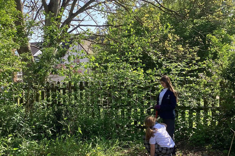 Pupils dig deep to win national gardening award and aim for next level