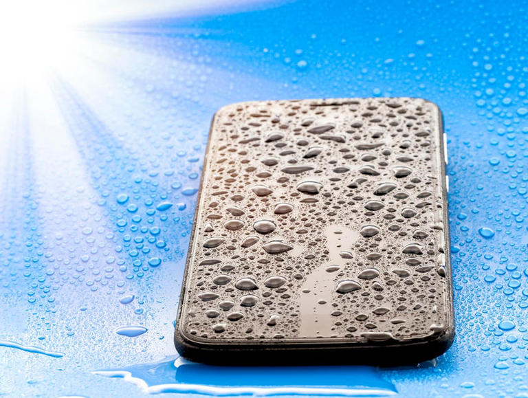 Apple's and Samsung's Warning: The Truth About Putting Wet Phones in Rice
