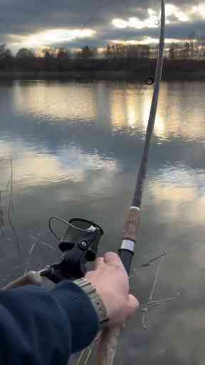 Viral Carp Rig Setup Epic Fishing Montage