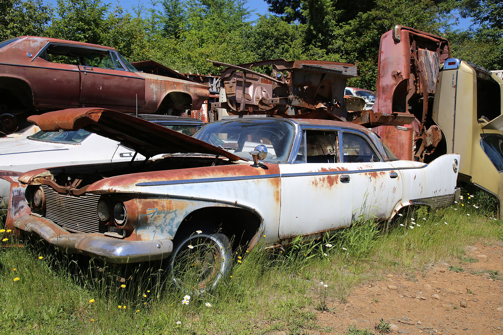 Mopar Magic: Junkyard Discoveries of Wildcat Auto Wrecking, Sandy, Oregon