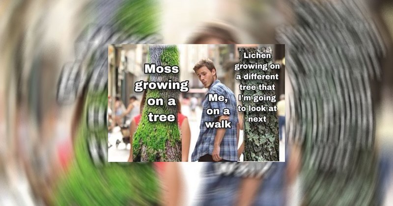 33 Memes That Keep on Growing