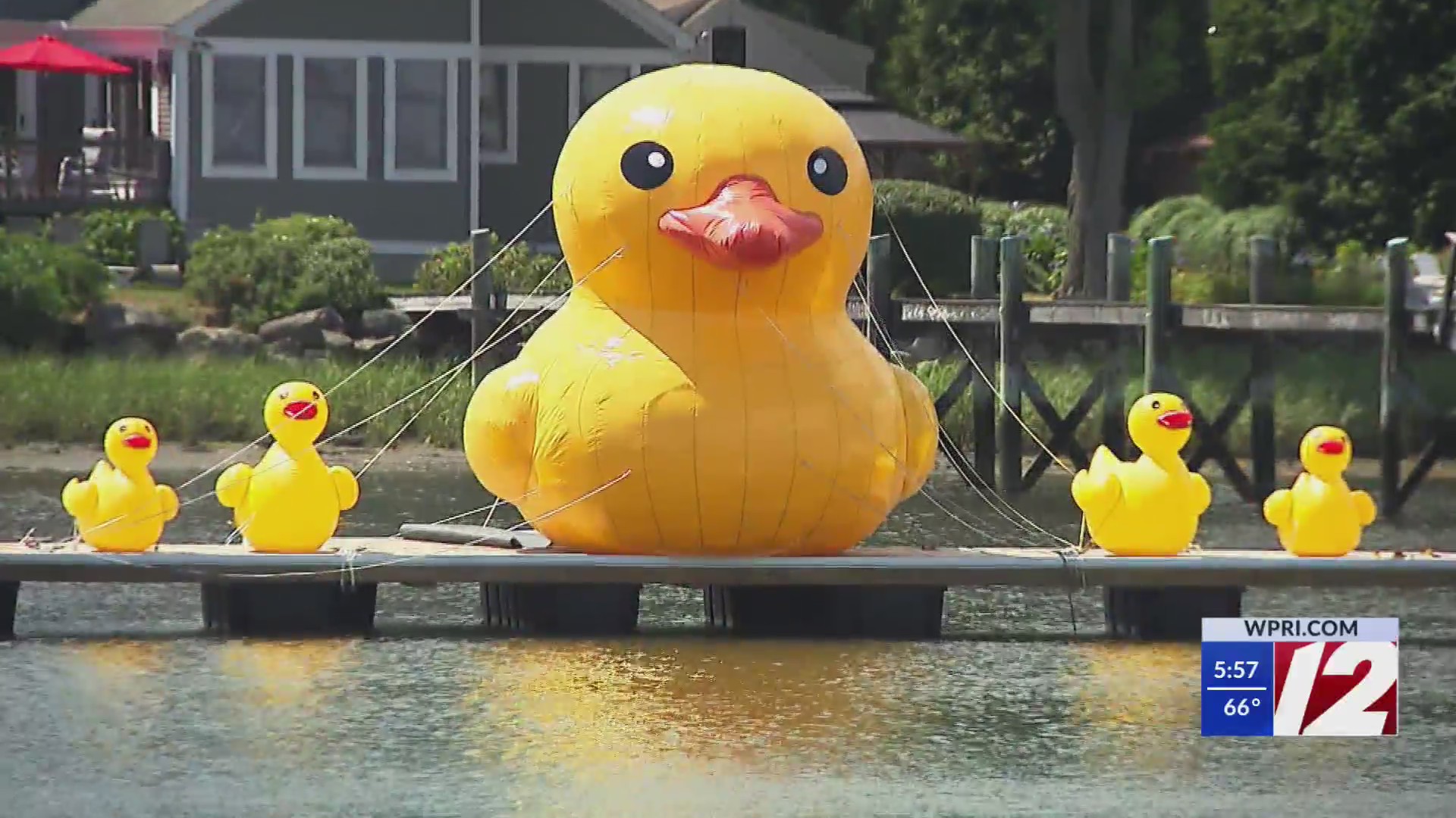 5 inflatable ducks sitting at Wickford Shipyard