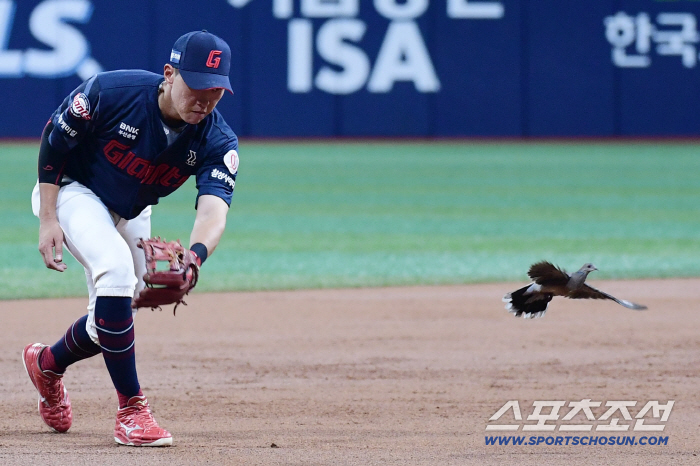 How did pigeons come into Gocheok Dome? Pleasant happening Lotte Kiwoom ...