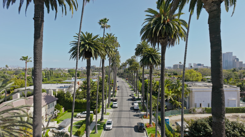 The Affluent City With California's Most Famous Zip Code Is Making ...