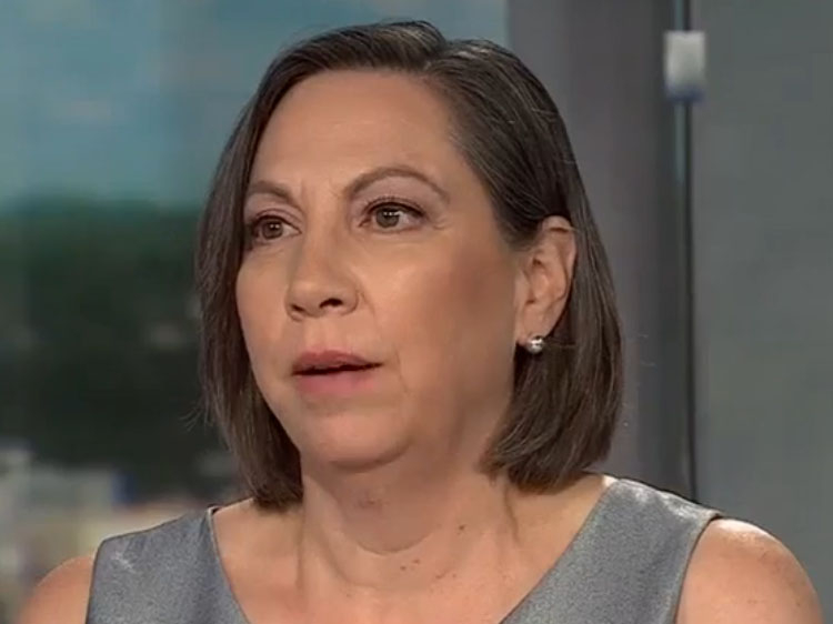 CNN's Beth Sanner: "By Bringing This Up Again, The Trump Administration ...