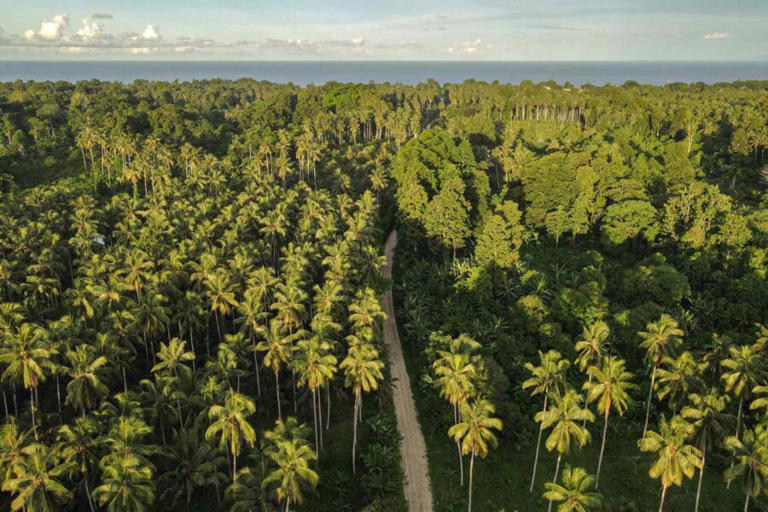 Bougainville’s long goodbye to colonialism