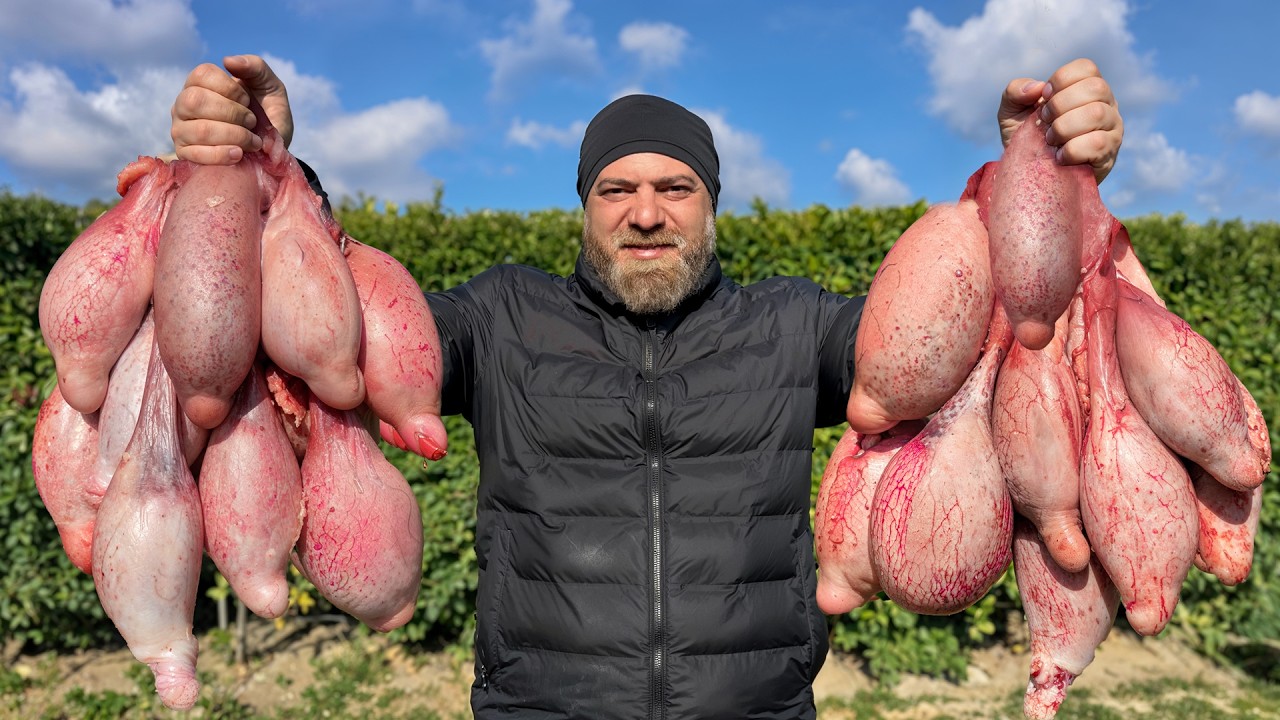 Lamb Testicles Cooked for a Full Outdoor Dinner