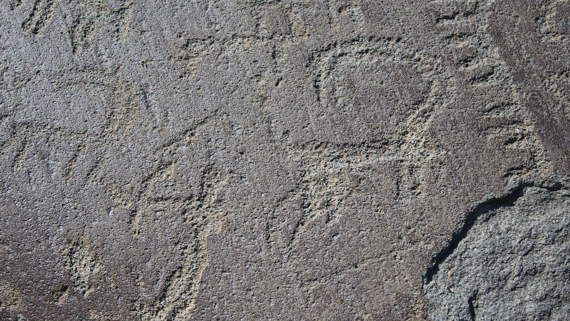 Archaeologists in Armenia have uncovered intricate rock art depicting ...