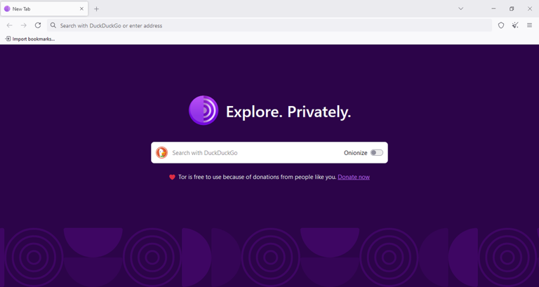 Tor Browser Review: Features, Usage, and Competition
