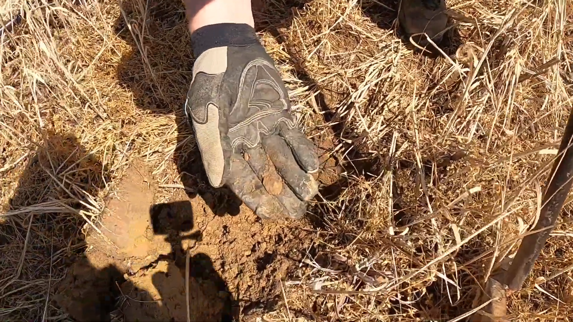 Best metal detecting finds of the year! Silver & Civil War relics