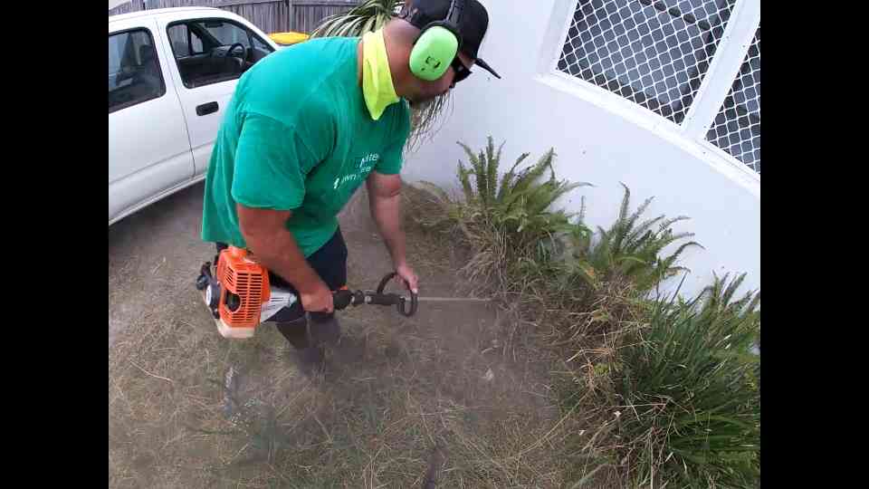 Tall Grass Cut with Precision: Victa 550 Tackles Dense Overgrowth