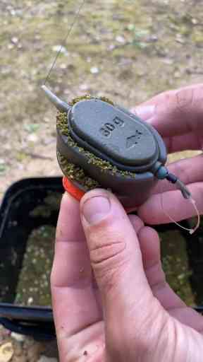 Carp Rig Setup Viral Fishing Montage to Reel You In