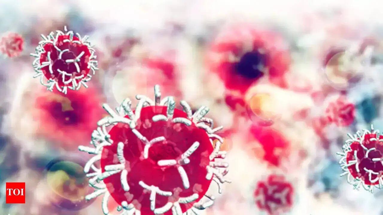 Cancer-fighting gut bacteria that can absorb forever chemicals in the ...