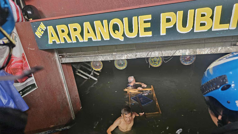 Animals for Sale Drown at Flooded Arranque Market in Manila
