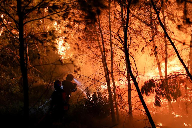 Foreign Office issues wildfire warning to UK tourists in Greece