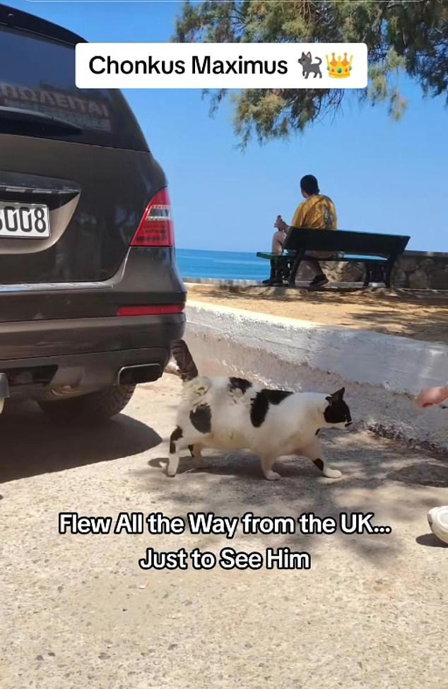 Tourists are flocking to a Greek island for a VERY unusual reason