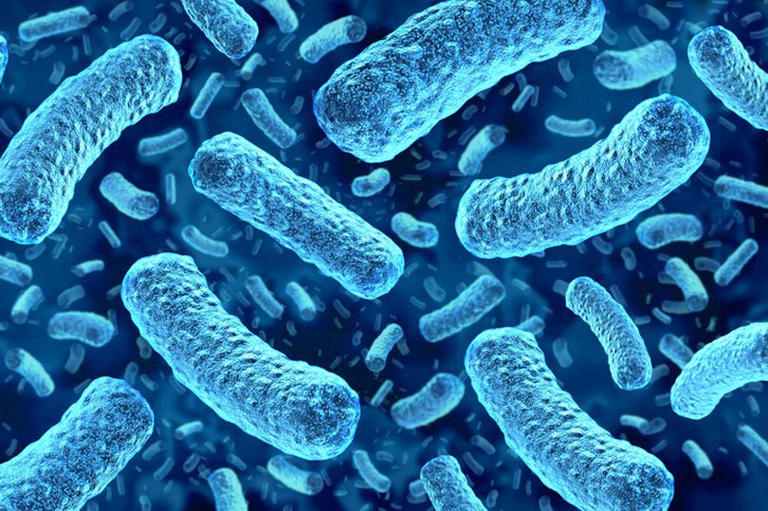 Fsai recalls: symptoms of a listeria infection and how it gets into our ...