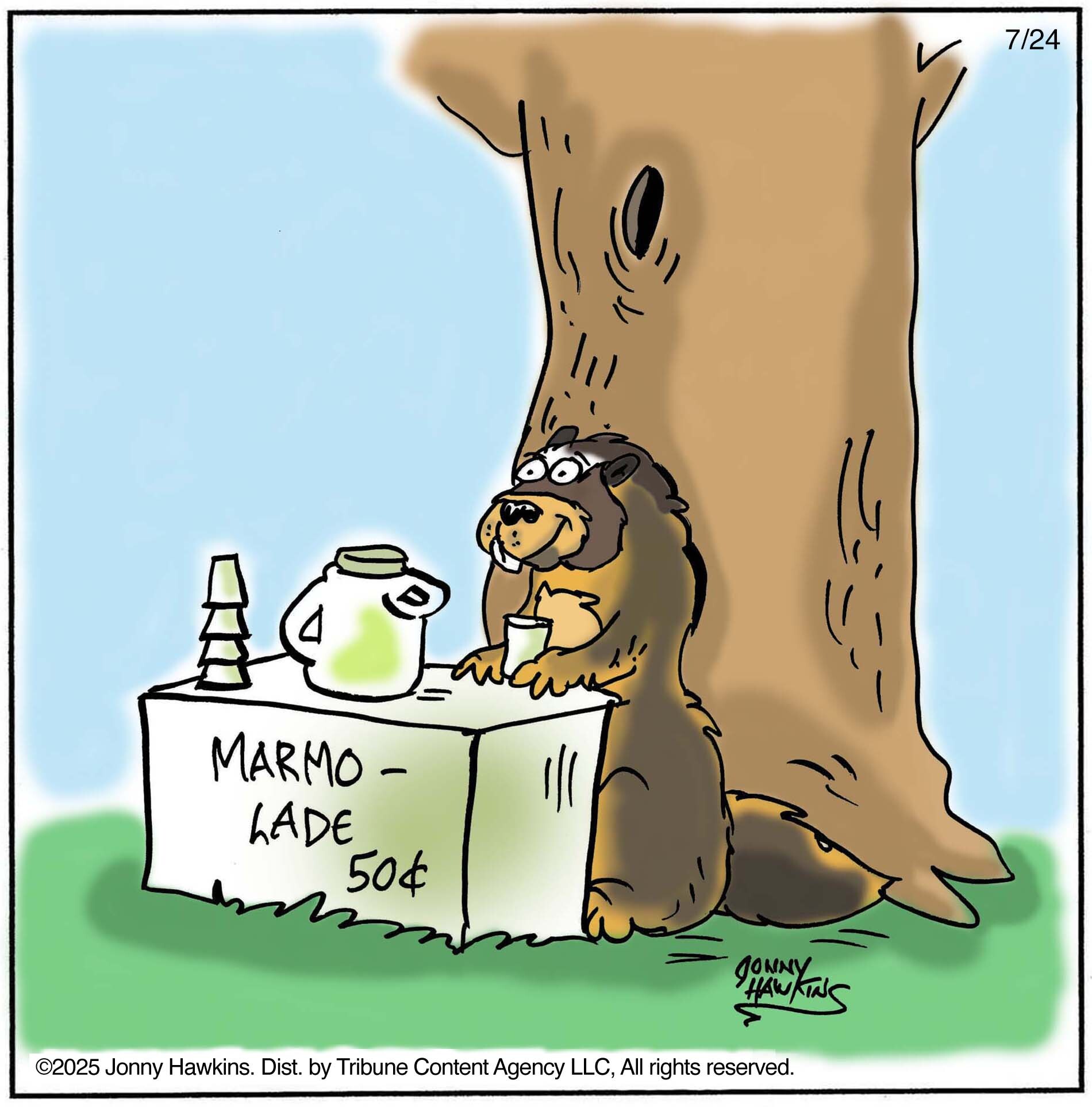 Zoolies by Jonny Hawkins