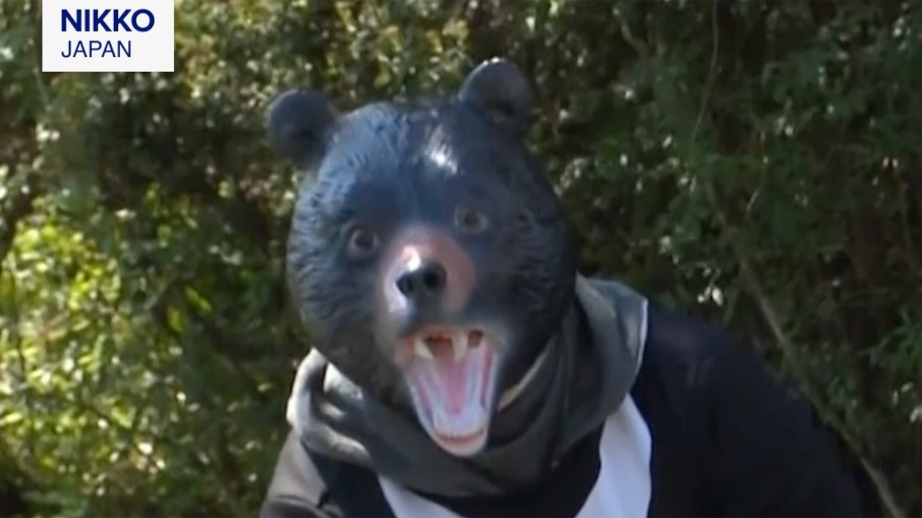 Costumed man pursued in Japanese bear drill
