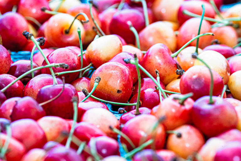 Delaware farm 'memberships' offer a different grocery experience