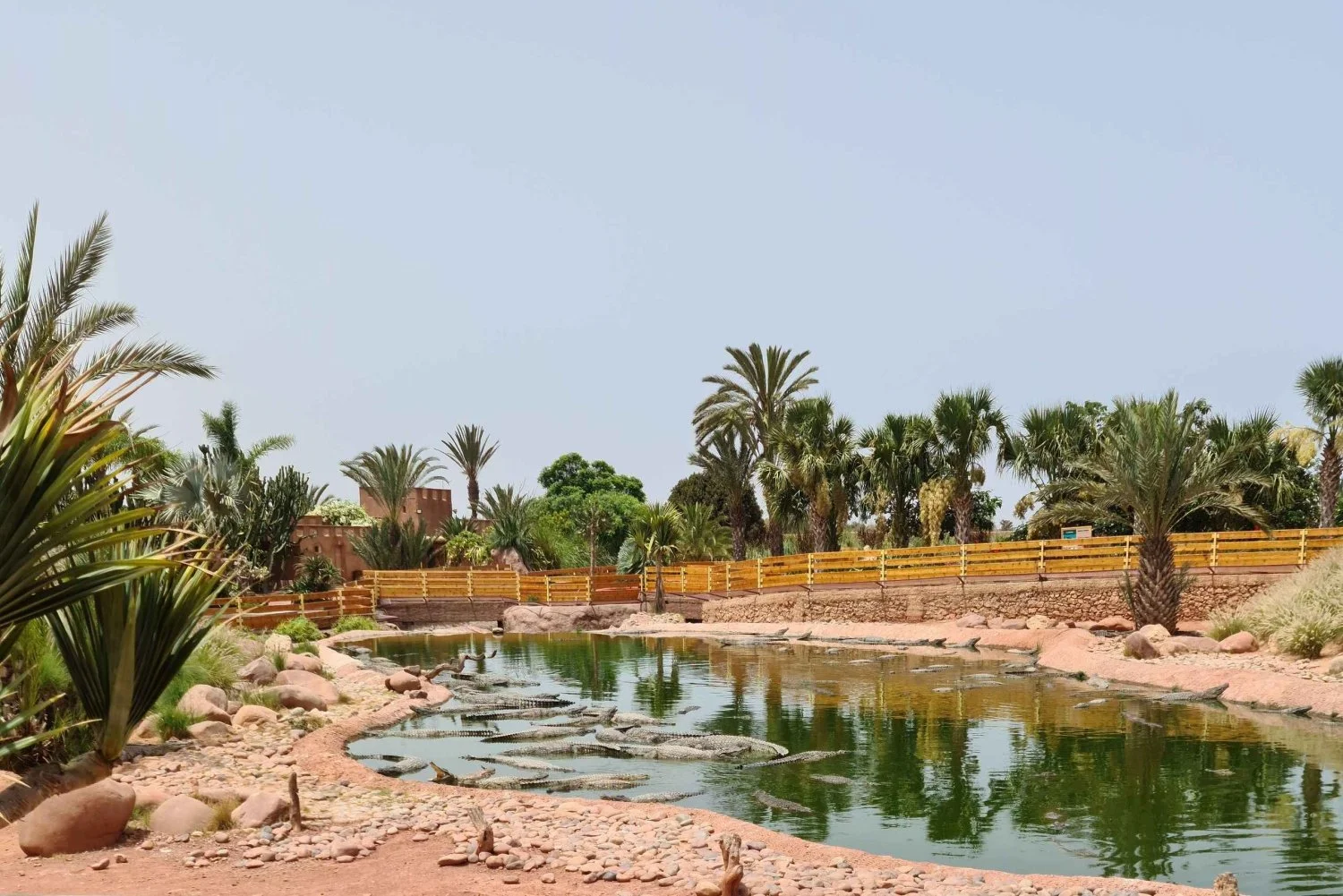 Morocco’s first crocodile zipline debuts at Agadir’s Crocoparc