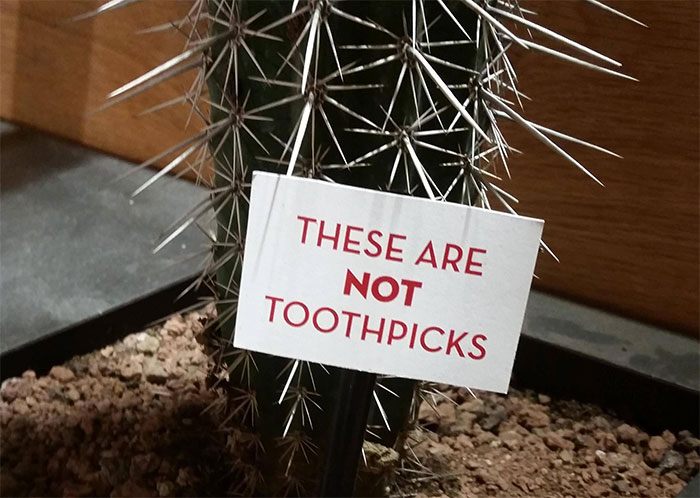 38 Funny Signs That Might Get You Wondering “Just What In The World ...