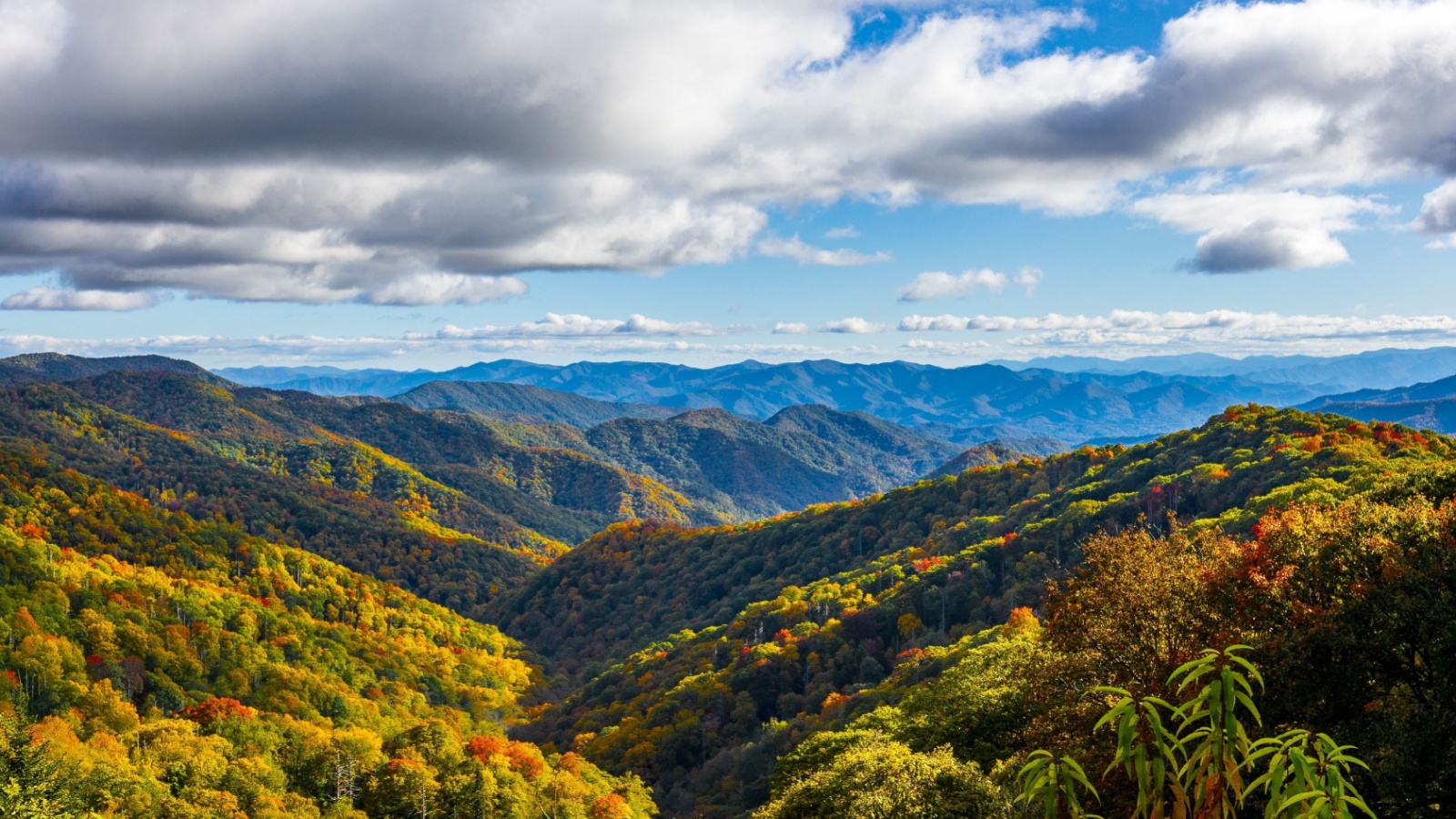 Stunning Appalachian Trail sections every hiker should experience once