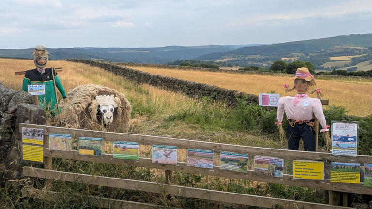Scarecrows bring in visitors to celebrate rural life, community and farming