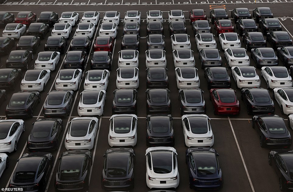 Tesla sees European sales collapse by one-third