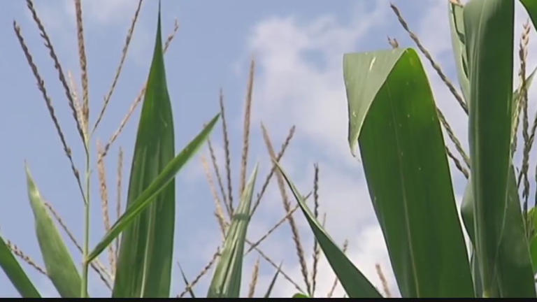9 Ulster Co. farms receive funding through first-ever grant program