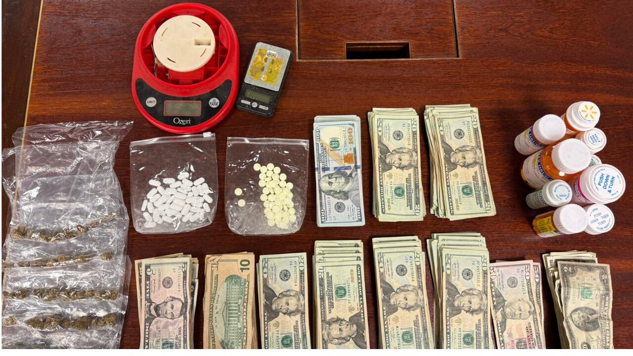 Clinton County woman charged with slew of drug crimes