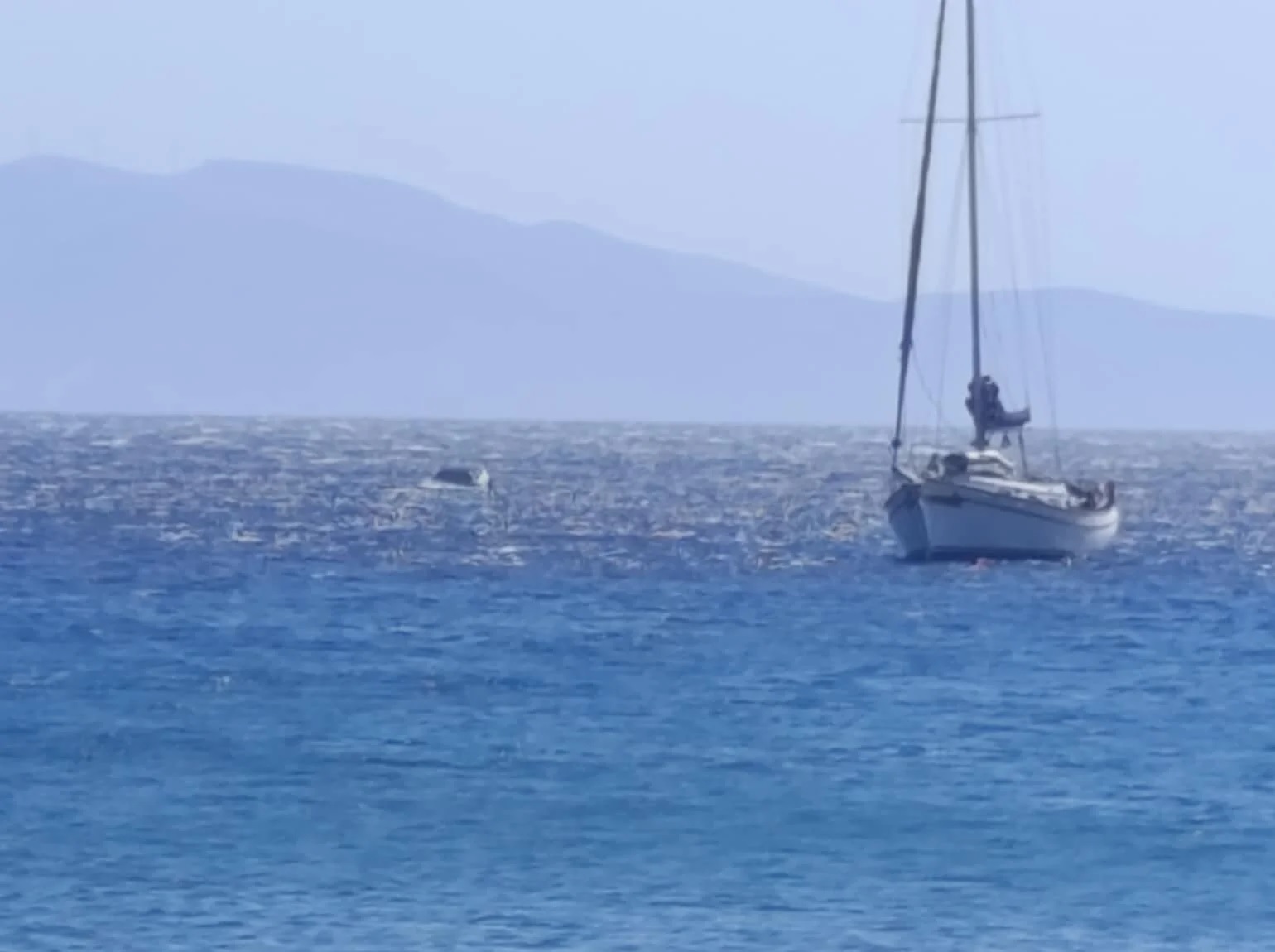 Τήνος: Αυτοκίνητο έπεσε στη θάλασσα στον Όρμο Υστερνίων – ΒΙΝΤΕΟ