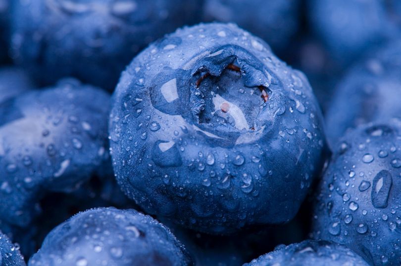 Martha Stewart's expert method to keep blueberries fresh for days