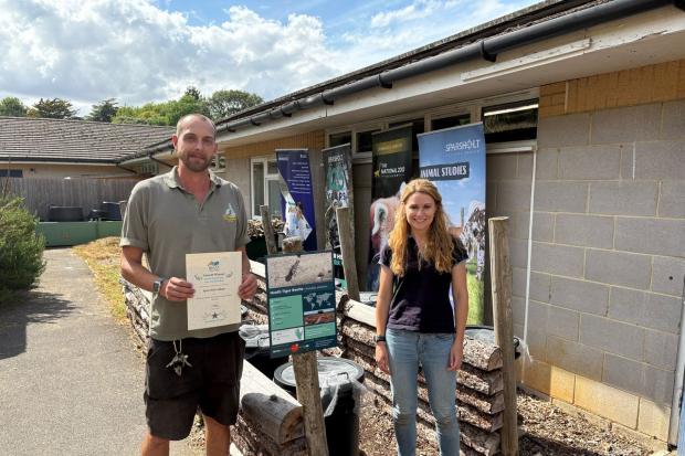 One of England's rarest insects bred in captivity for first time