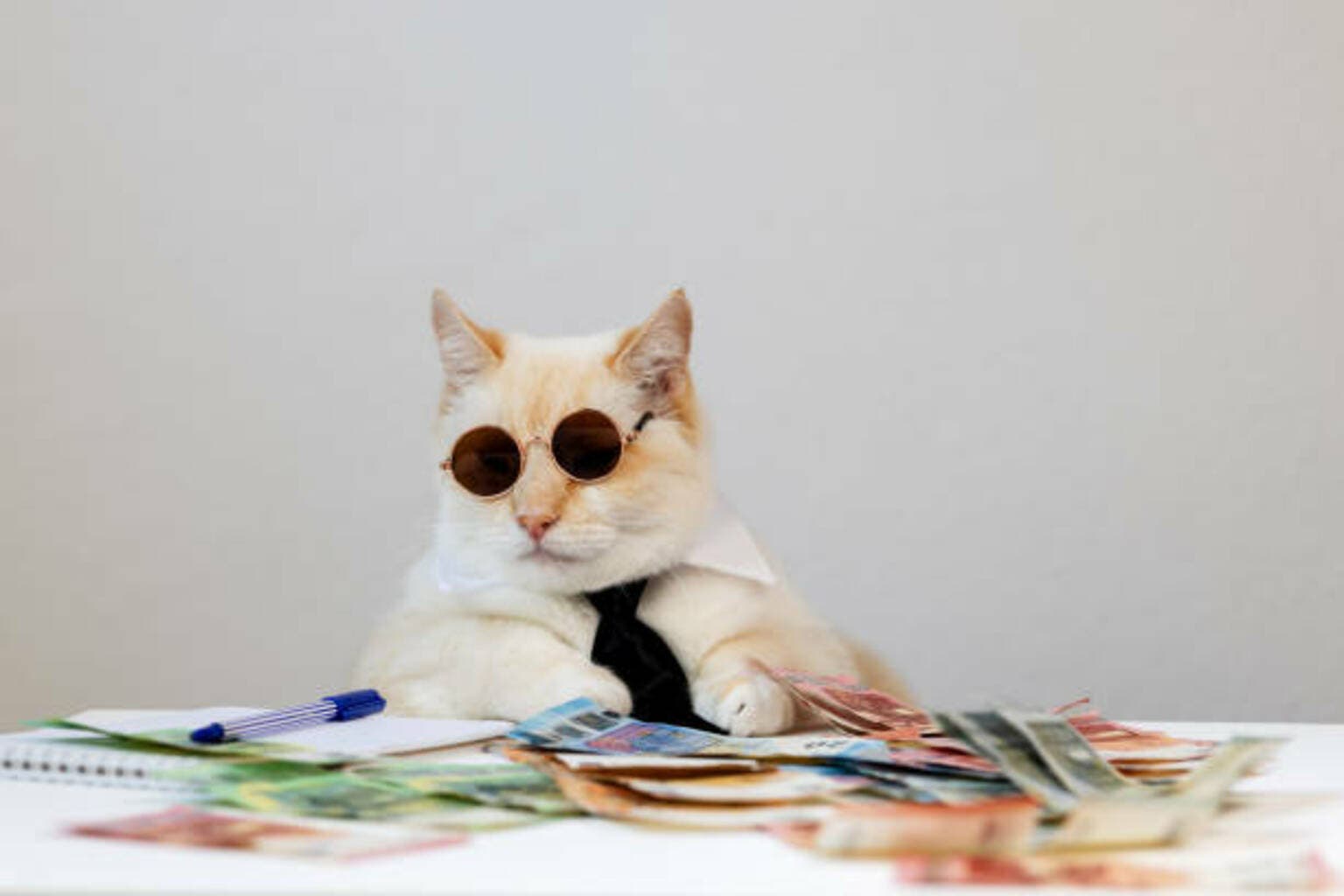 With meme stocks back in the spotlight, DORK is the new acronym to know