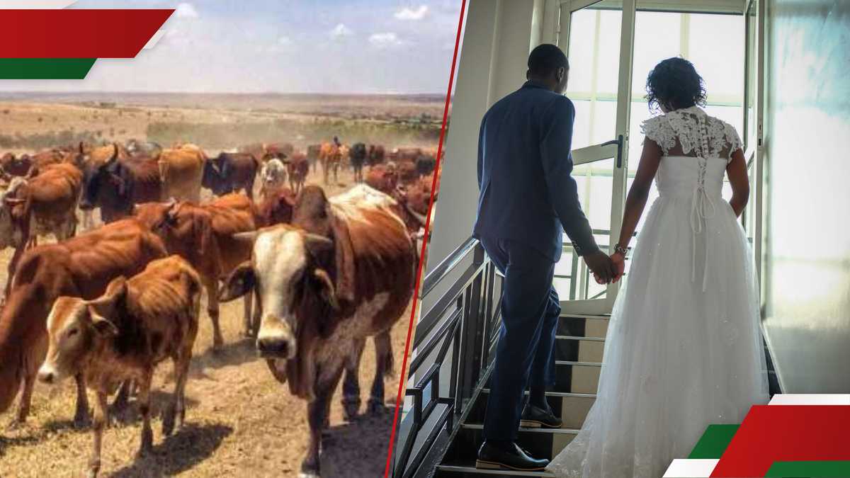 Nairobi: 65% of Kenyan men want bride-price cost shared, Mwelekeo ...