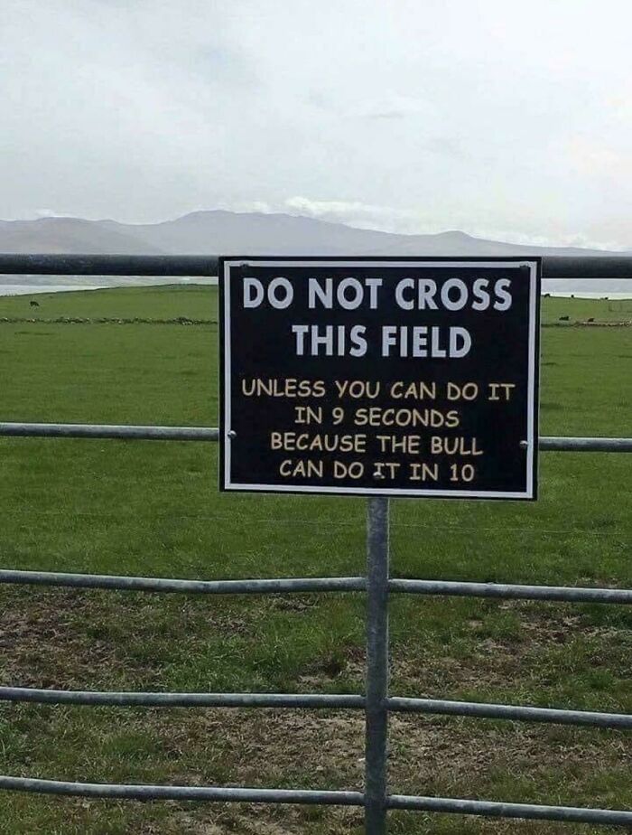 38 Funny Signs That Might Get You Wondering “Just What In The World ...