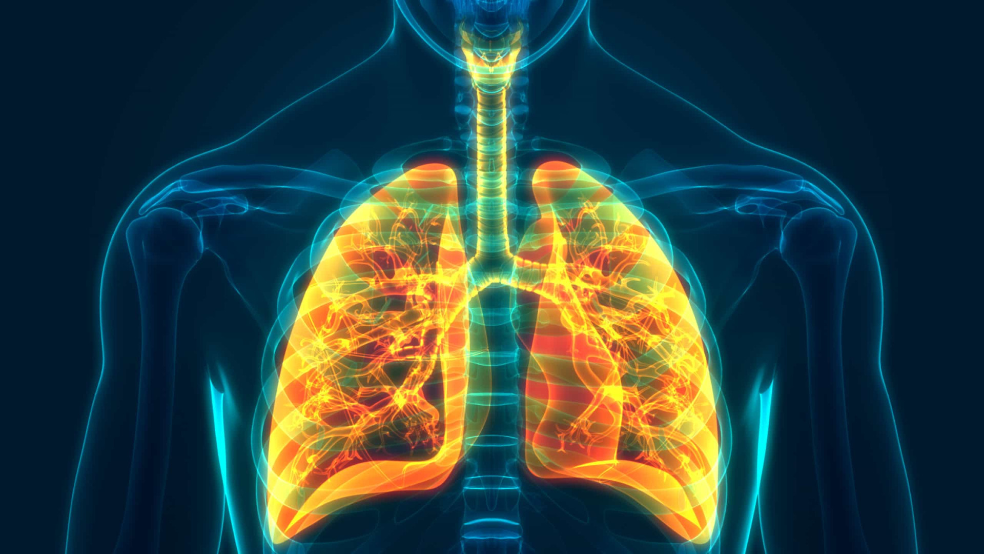 COPD: Was müssen Sie über eine der häufigsten Todesursachen wissen?