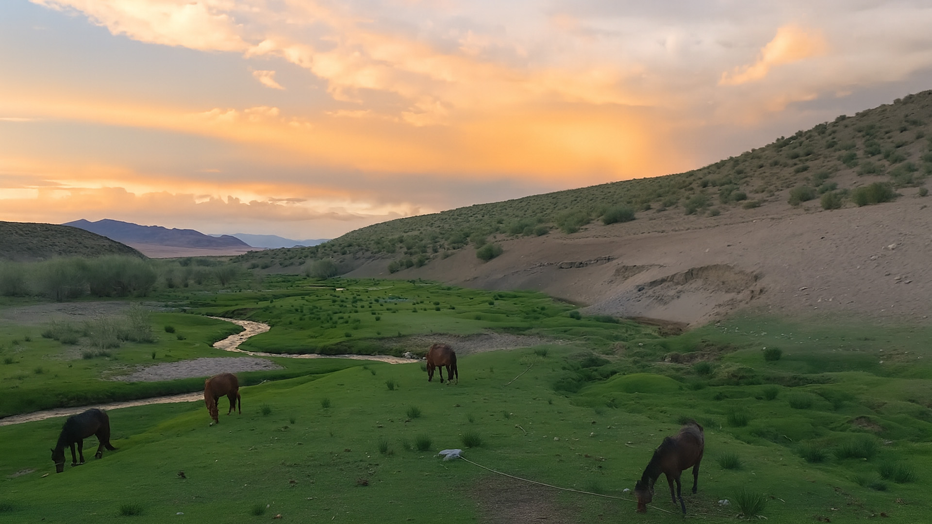 Mongolia nature and calm music in 4K