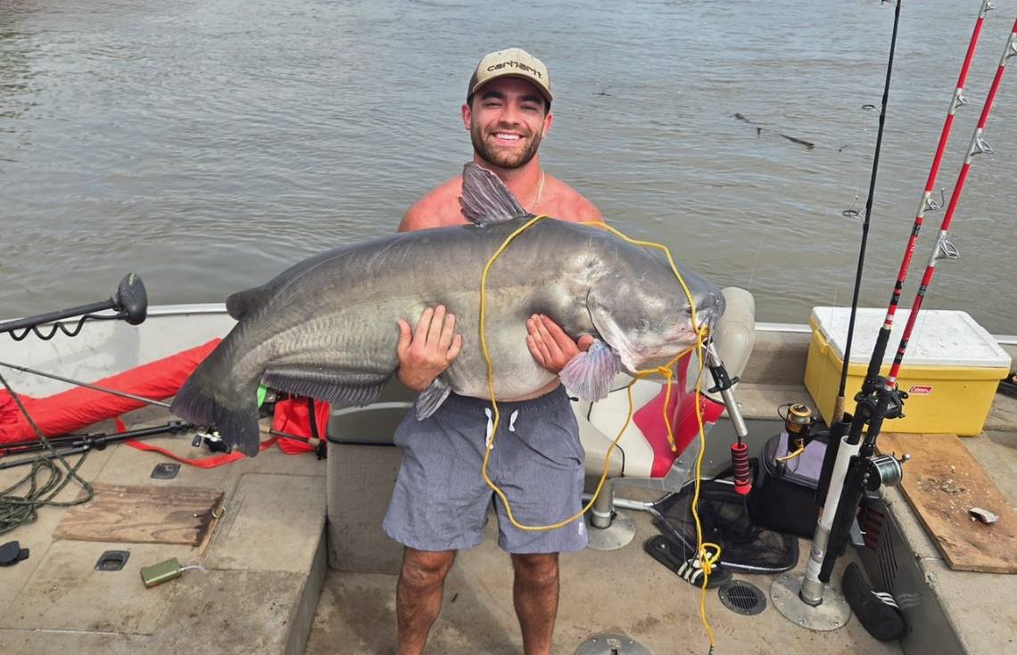 86-pound ‘monster' blue catfish caught in Missouri River. ‘He caught a ...