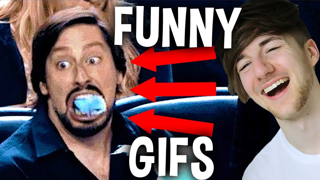 Impossible Try Not to Laugh Challenge – GIF Edition