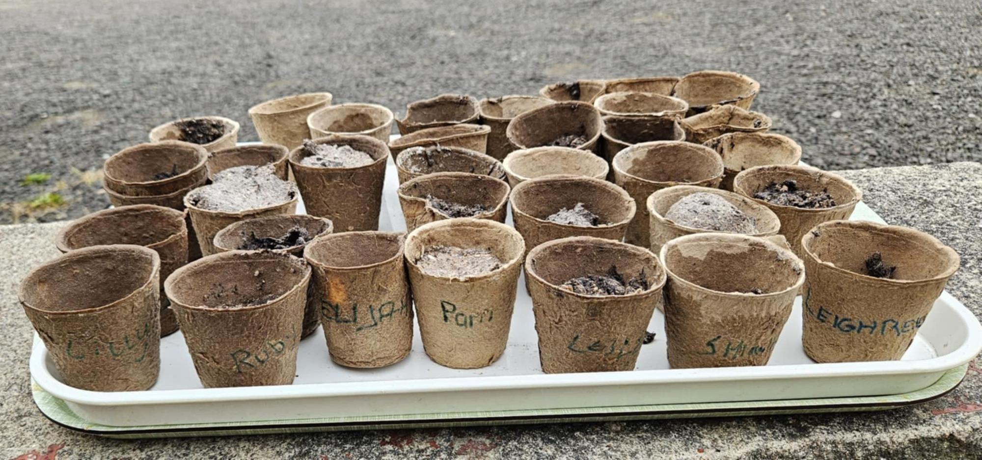 Asda Forfar teams up with community volunteers for local litter pick