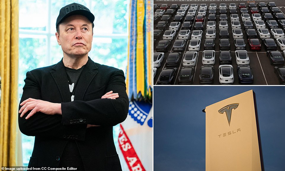 Tesla sees European sales collapse by one-third