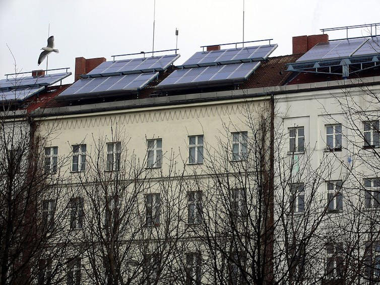 Plug-in solar panels are the latest green energy trend – here’s what ...