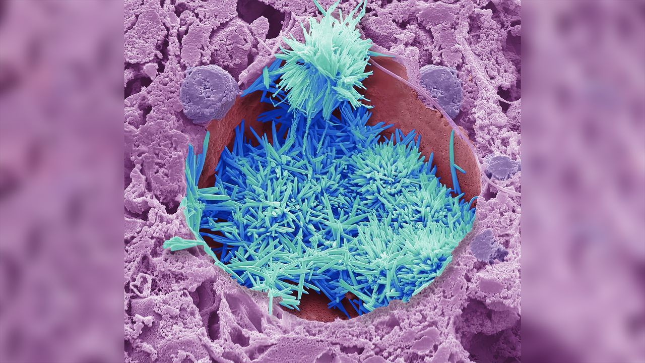 This image shows something you wouldn't expect to see – and it's among ...